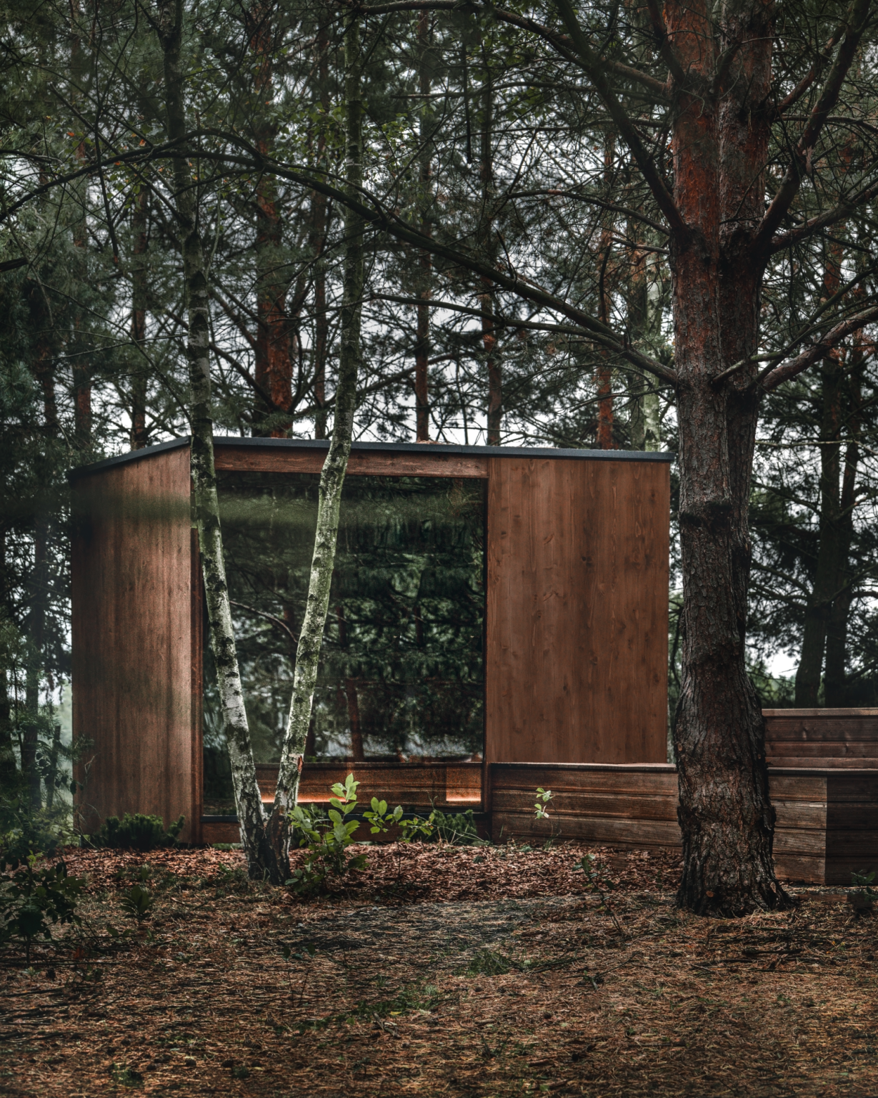 Tyyni Sauna | Premium Outdoor Sauna